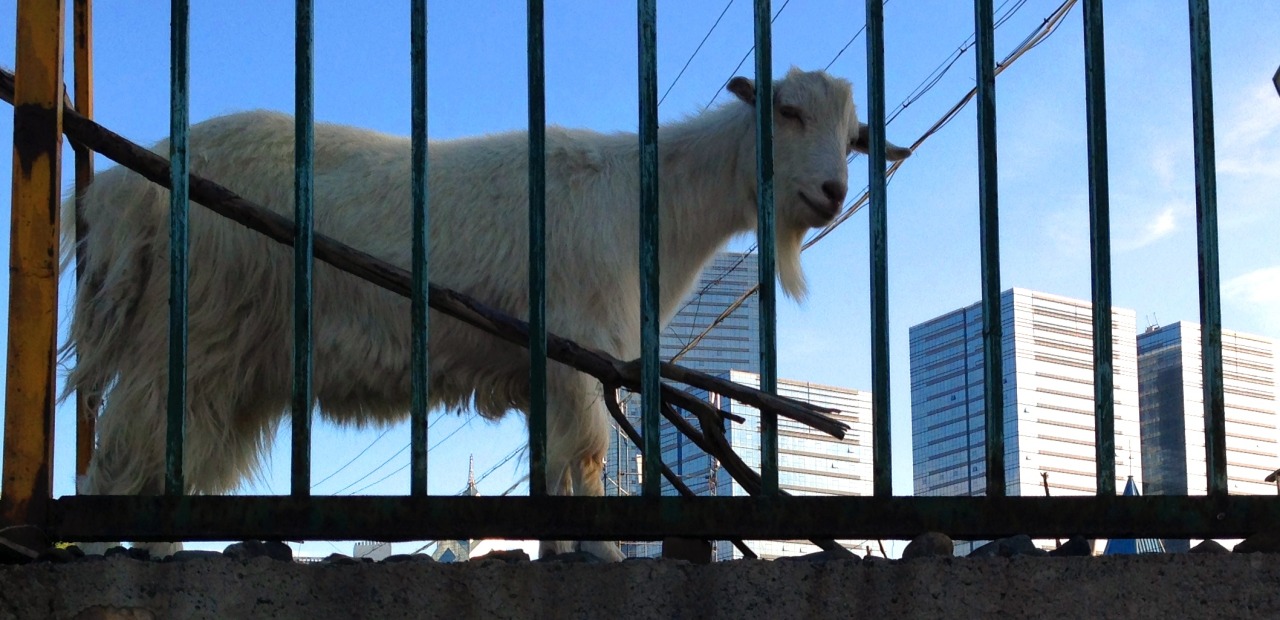 Western China – MATTHEW OVERSTREET