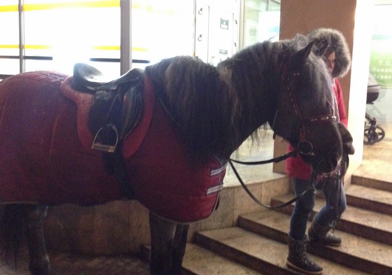 Russia – MATTHEW OVERSTREET