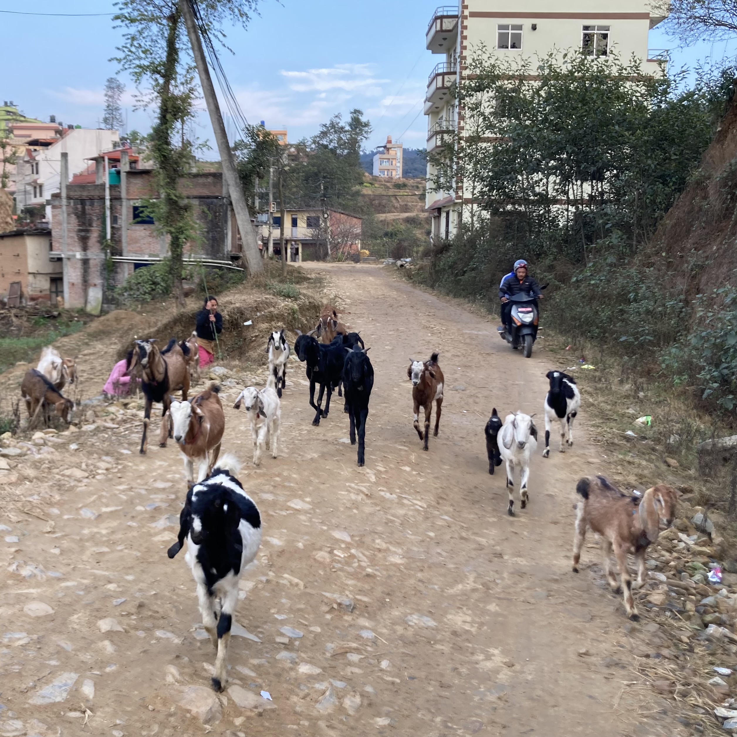 Nepal – MATTHEW OVERSTREET